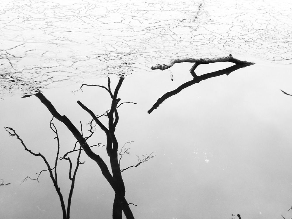 Rixa Lohmann - Grauzeit // A grey world | LensCulture