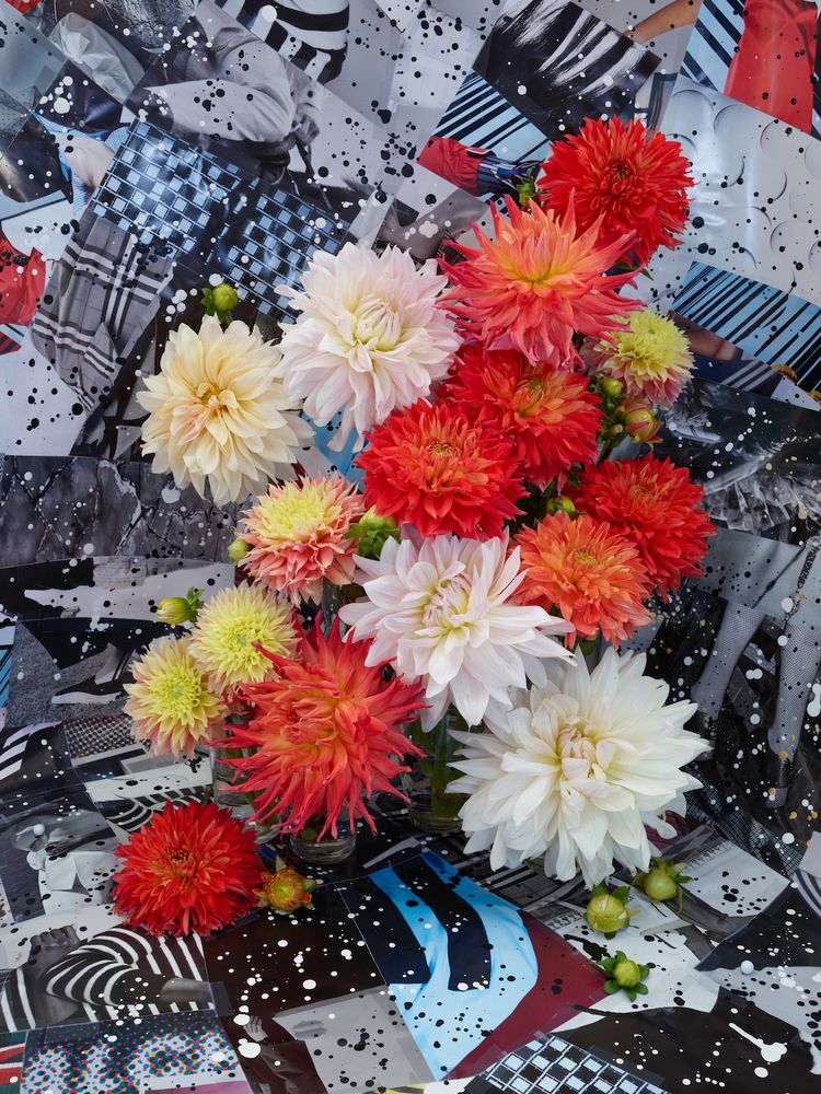 Christopher Beane - The Baroquecoco Series 2018-2019 | LensCulture