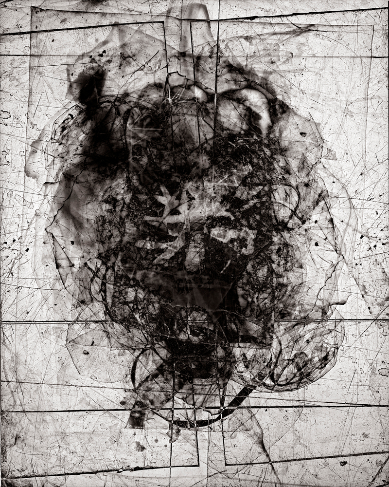 Paul Rider - Forever | LensCulture