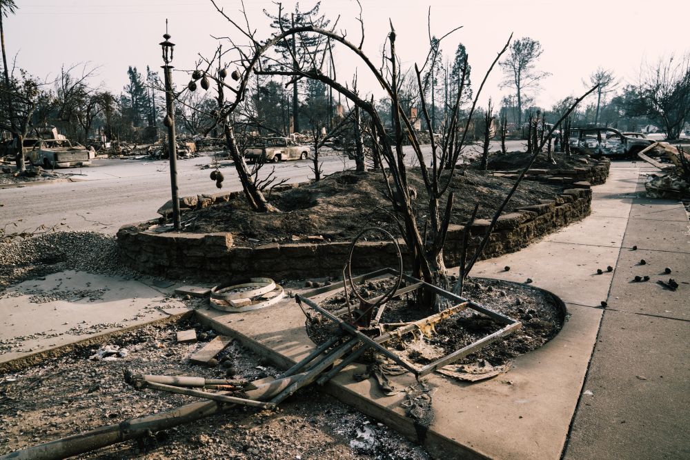 Taliesin Gilkes-Bower - Fire Remains | LensCulture