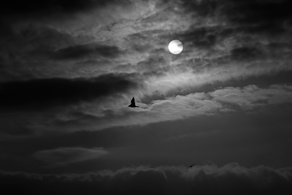 Jun Ishikura - MIdday Moon | LensCulture