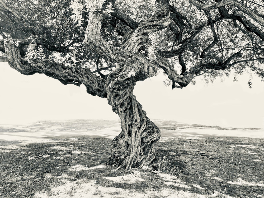 Luke Duggan - Luke black and white lens | LensCulture