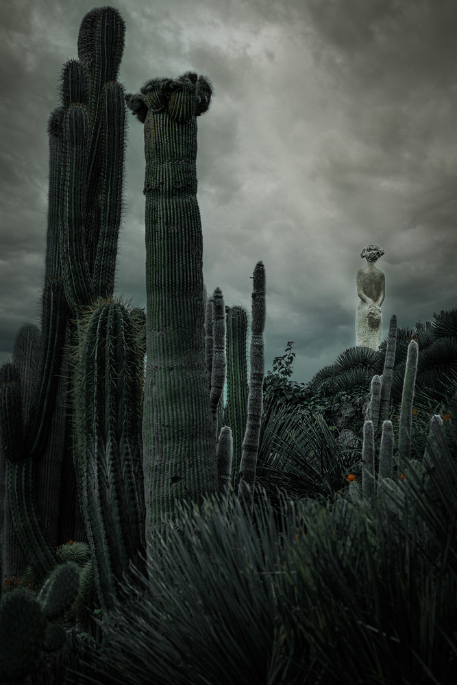 Satu Jaakkola-Chiari - Jardin Exotique d'Èze | LensCulture