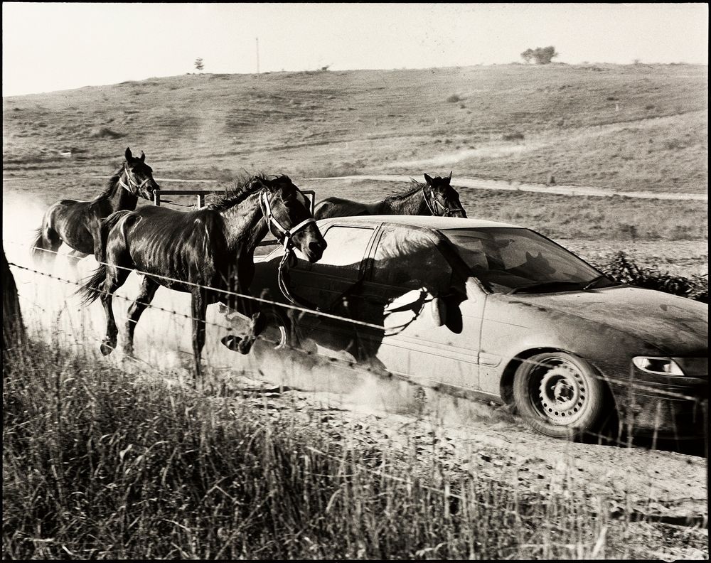 Matthew Abbott - Untitled | LensCulture