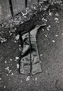 Jacob Giles - Stray Dog | LensCulture