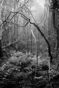 Tom Battin | LensCulture