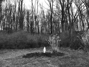 Mark Moretti - Untitled | LensCulture