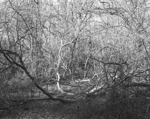 jonty sale - squallsmire | LensCulture