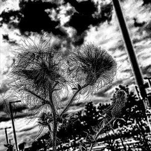 Hugh Walker | LensCulture