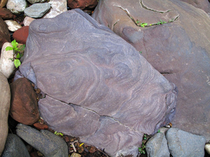 Steven Parisi - Gentile - desert southwest | LensCulture