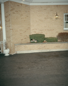 Christopher Beitz - A Murmur In Space | LensCulture