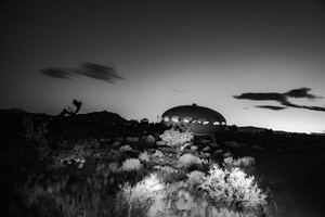 Daniel Efram - Curiosities, a sampling | LensCulture