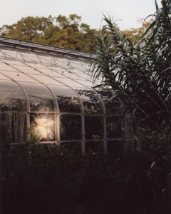 Christopher Beitz - A Murmur In Space | LensCulture