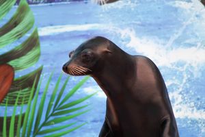 Jack Rinaldi - York Fair | LensCulture