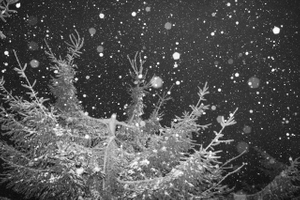 Alessandro Inches - Snowoon | LensCulture