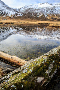 Adrian Zaugg - Snow and Ice | LensCulture