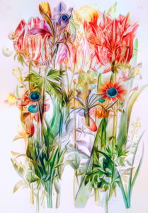 Larry Chait - Virtual Bouquets from The Green Florilegium | LensCulture