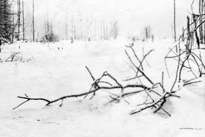 Martin Kull - The End of Winter | LensCulture