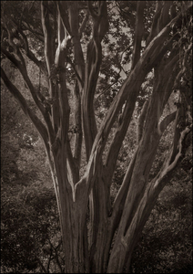 Roger Beck | LensCulture