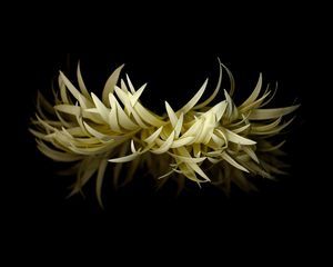 Doris Mitsch - Dark | LensCulture