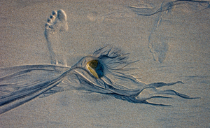 Willa Davis - Of the Sea, Sand and Stones | LensCulture