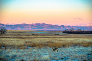 Jeremy Janus - The Beauty of Nature Through The Seasons | LensCulture