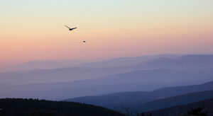 Deborah Segal | LensCulture