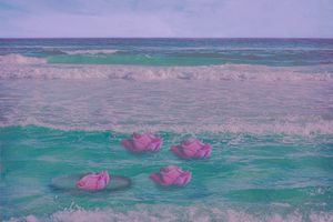 Rebirth Series - LensCulture