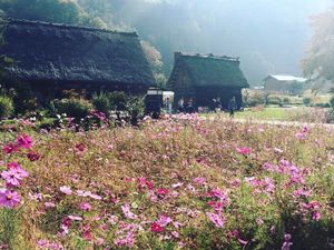 Xue Er - Submission | LensCulture