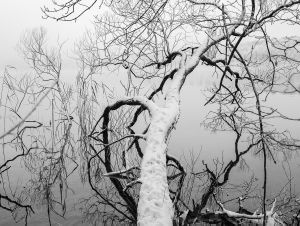 Rixa Lohmann - Grauzeit // A grey world | LensCulture