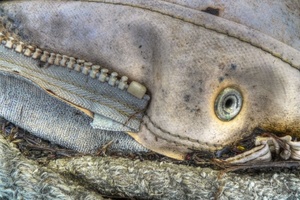 Mike Cable | LensCulture