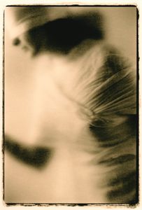 Susan De Witt - Mirage | LensCulture