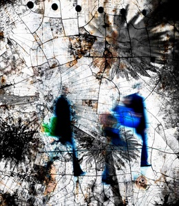 Steven Irwin | LensCulture