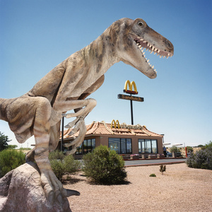 David Graham | LensCulture