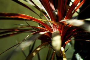 Julia Potocka | LensCulture