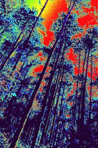 Lucia Ravens - Red Sky Burn Series | LensCulture