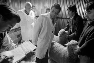 Patrick Bollen | LensCulture