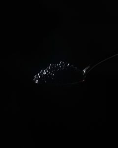 Anton Kuzmin | LensCulture