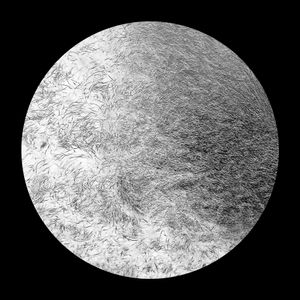 Bert Van Pelt | LensCulture