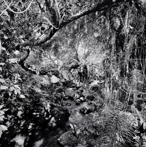 Stuart Rome | LensCulture