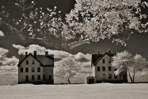 joseph paduano - Infrared scenes | LensCulture