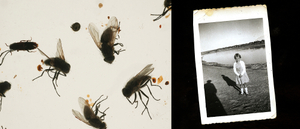 Victoria Laube - Process | LensCulture