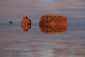 Giovanni Renna - Apocalypse is Revelation | LensCulture