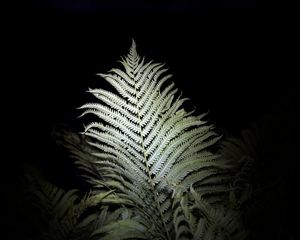 Paula McCartney | LensCulture