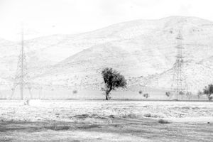 josefa elizalde | LensCulture