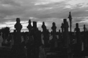 Johnny Savage - Fallout | LensCulture