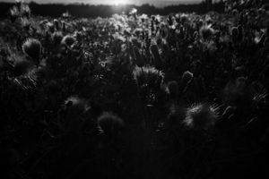 Konsta Klemetti - Portrait Awards 2025 | LensCulture