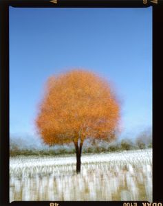 Ian Turnage-Butterbaugh - Revisionist Photography | LensCulture