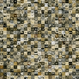 Greg Sand | LensCulture