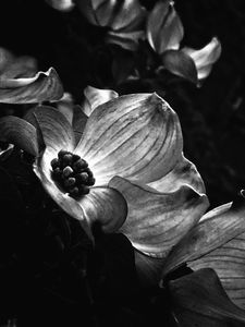 Smita Menon | LensCulture